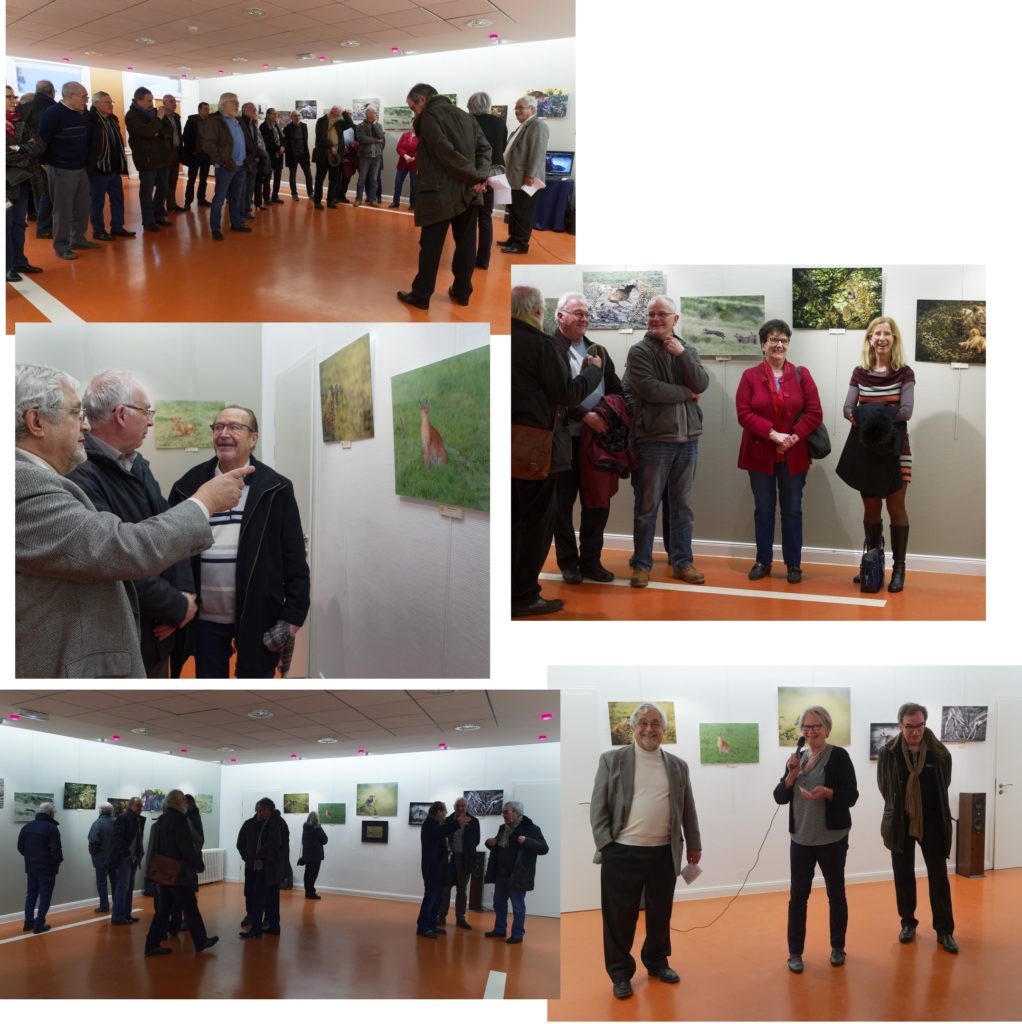 Toni LESSA et Raymond ZELLER exposent à Uckange en mars 2018 - Safari ...